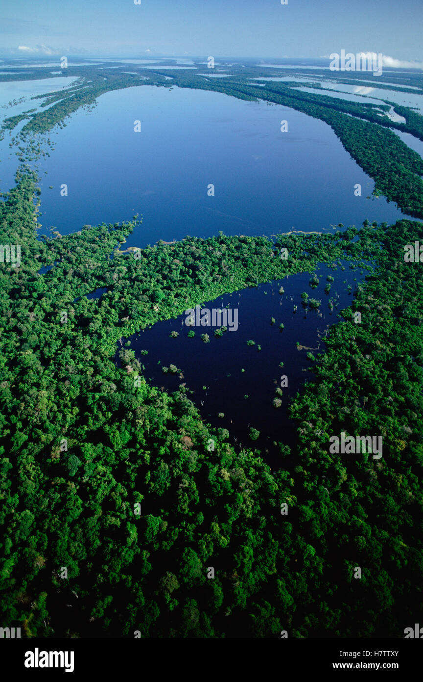 Anavilhanas archipelago in the middle of the Rio Negro River, Amazon ...