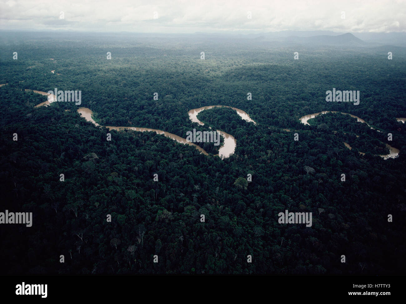 Aerial view of meandering river in the Amazon forest, Amazon ecosystem ...