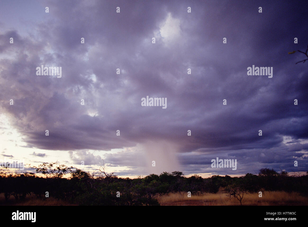 Rain storm in the interior of Bahia, Brazil Stock Photo - Alamy