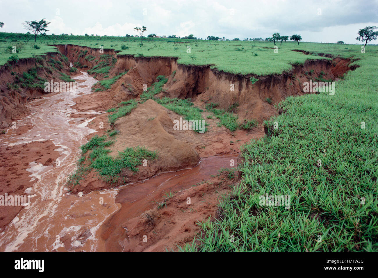 Erosion, Pantanal, Brazil Stock Photo - Alamy