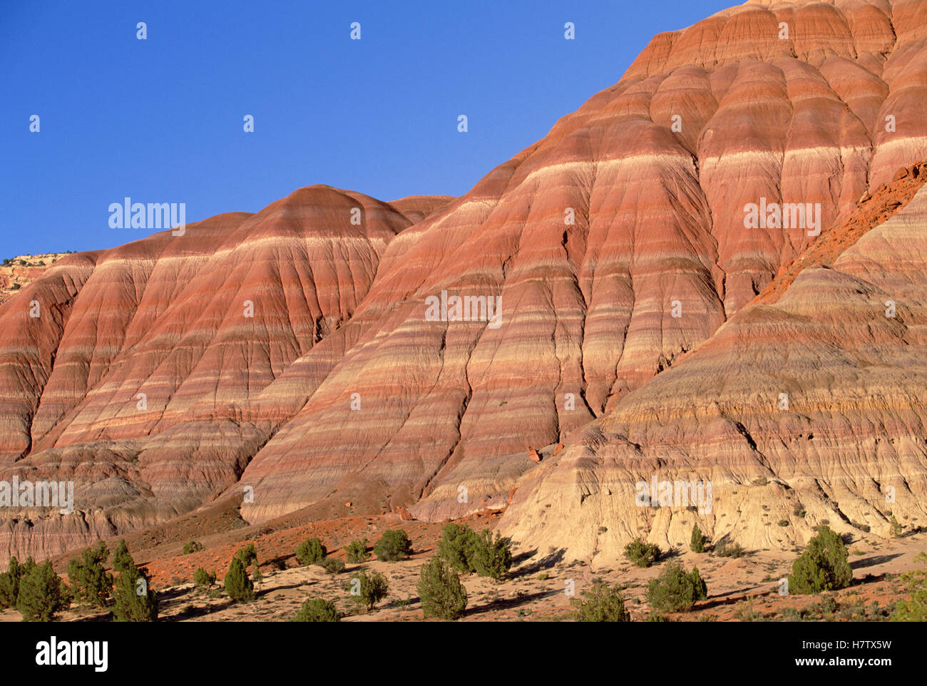 Chinle formation showing clearly defined layers of sandstone, Grand ...