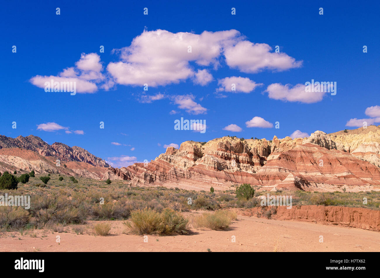 Layered sandstone buttes, Chinle Formation Desert, Grand Staircase ...
