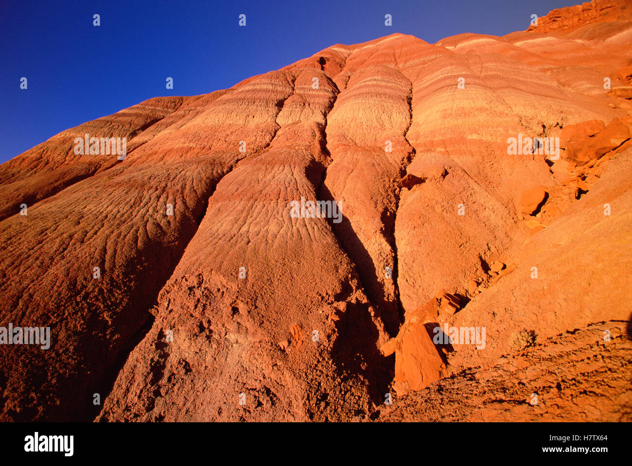 Layered sandstone ridge beginning to erode, Chinle formation, Grand ...