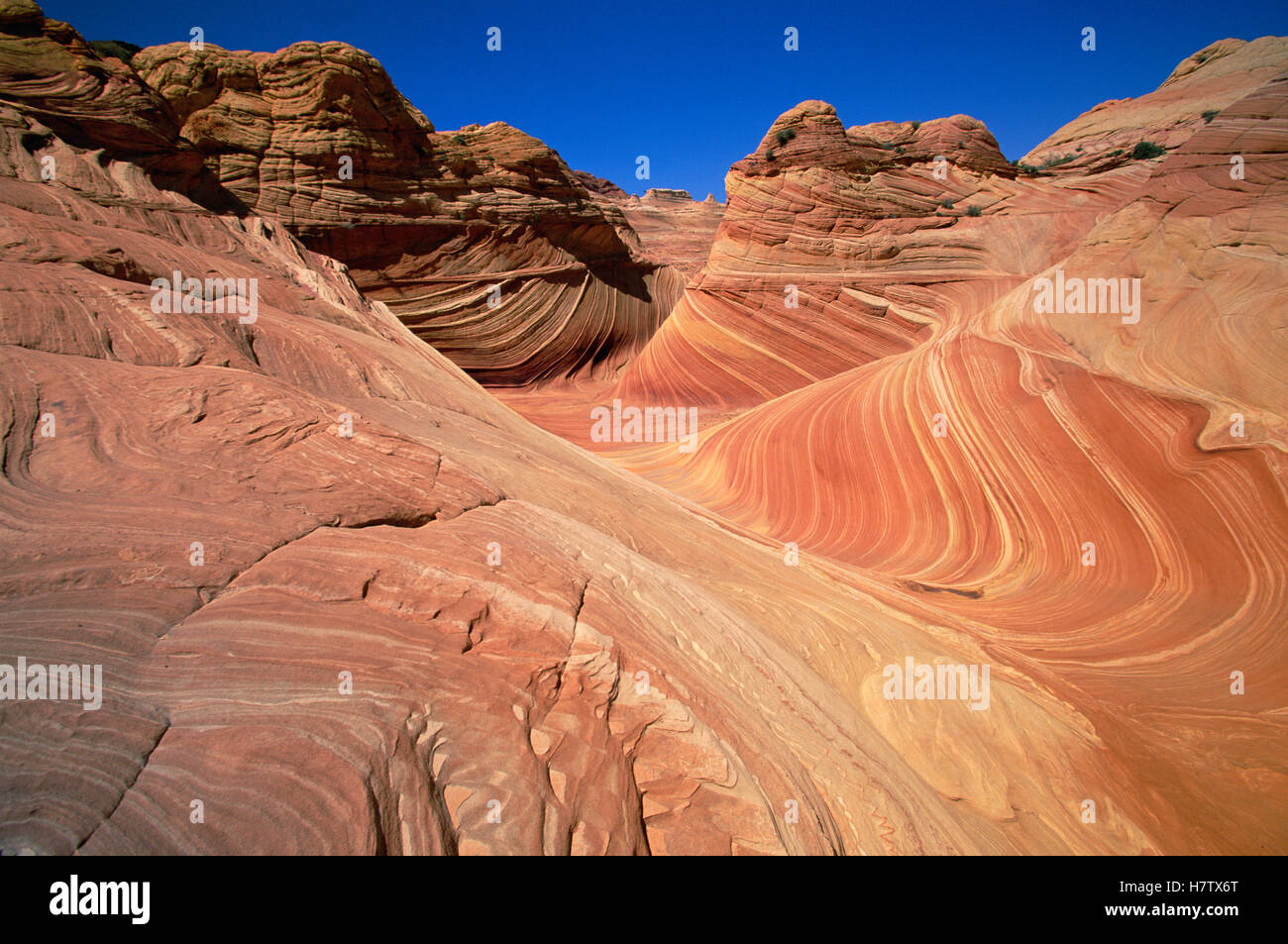 Colorful sandstone patterns of petrified sand dunes and ridges created ...