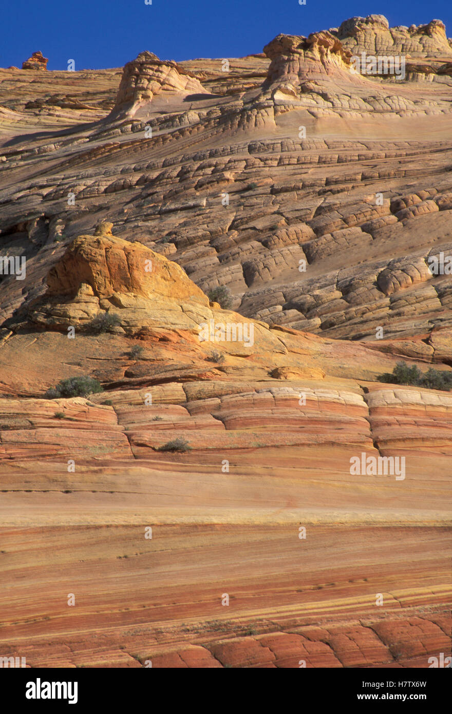 Colorful sandstone patterns of petrified sand dunes and ridges created ...