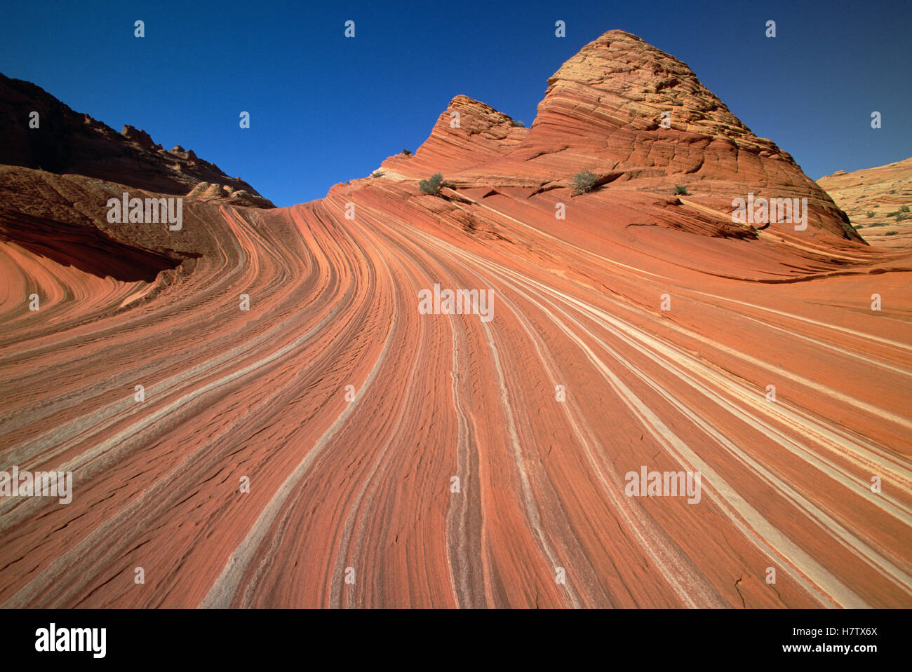 Colorful sandstone patterns of petrified sand dunes and ridges created ...