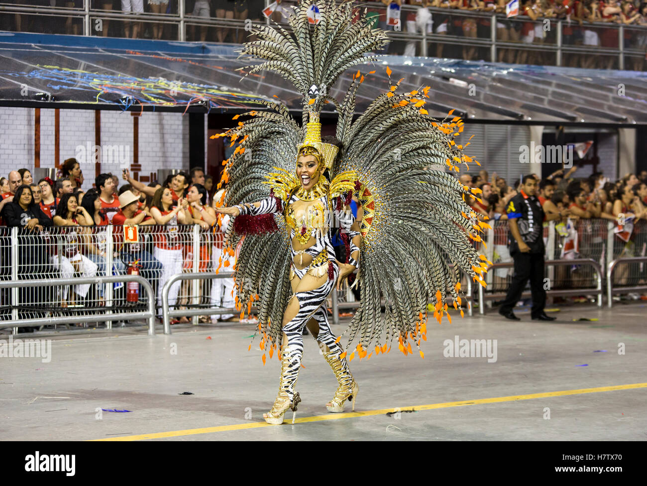 Rio carnival dancer hi-res stock photography and images - Alamy