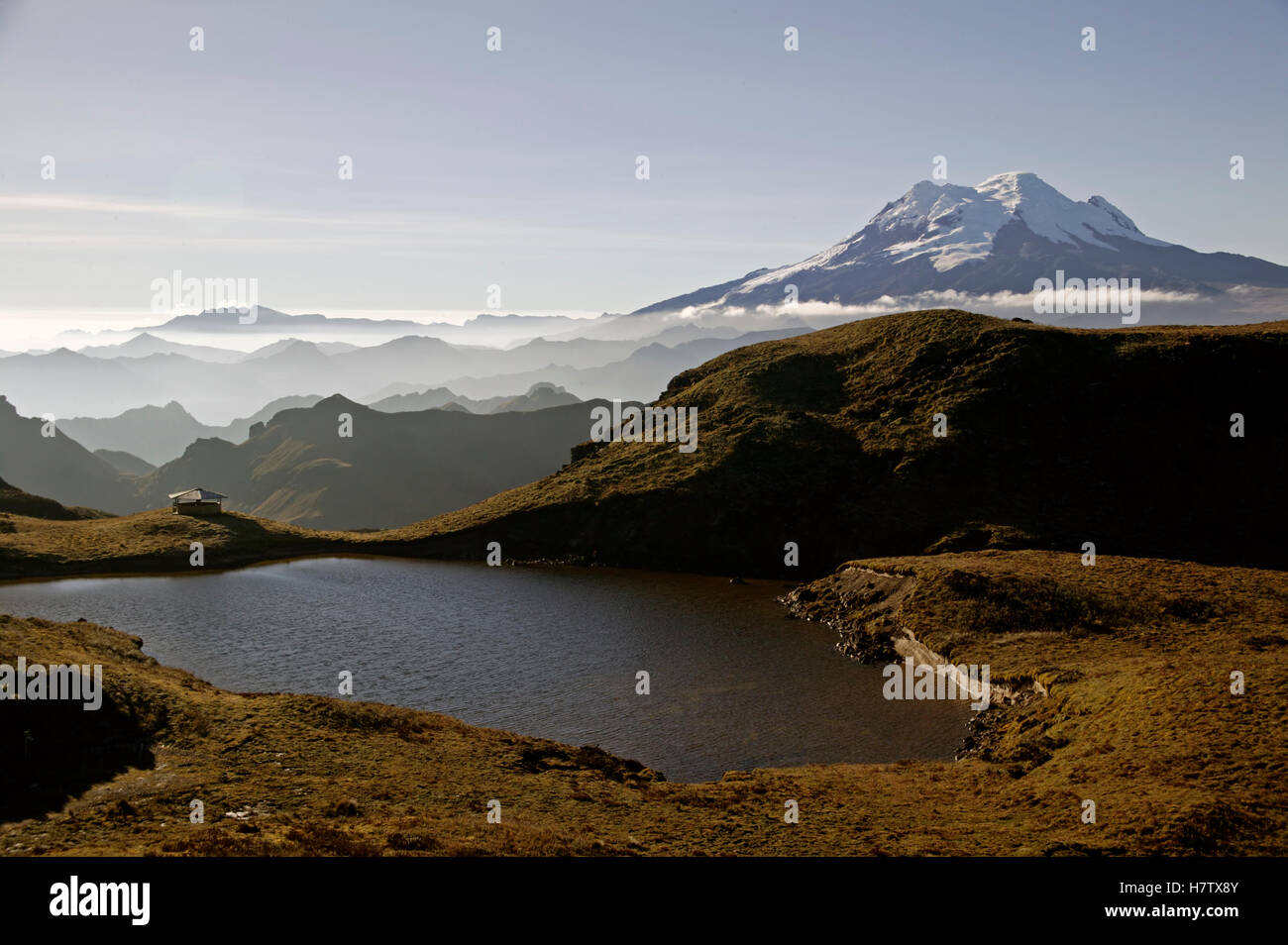 Antisana Volcano, Antisana Volcano Ecological Reserve, Andes, Ecuador ...