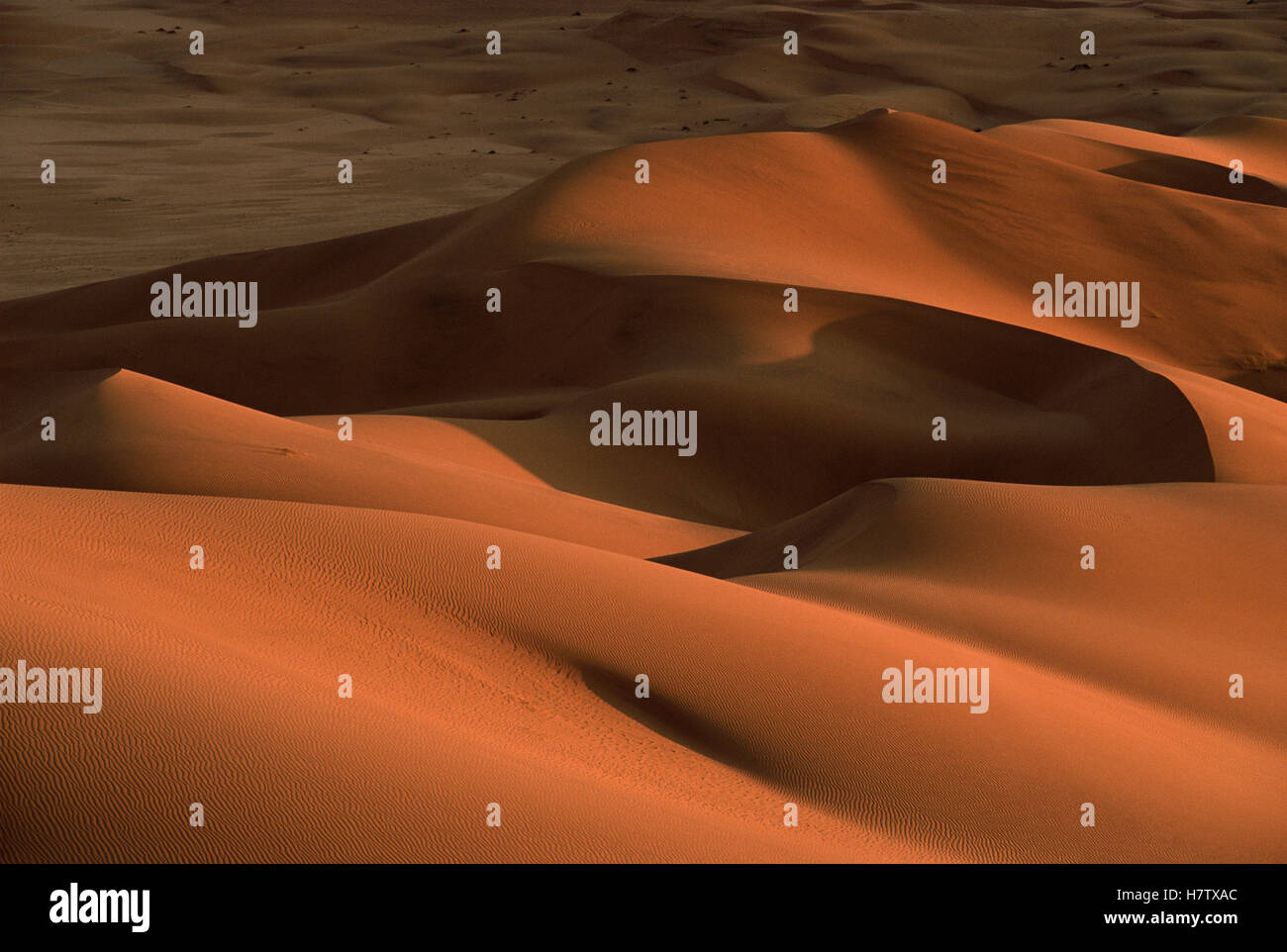 Sand dunes south of the Kuiseb River, Namib Desert, Namibia Stock Photo ...