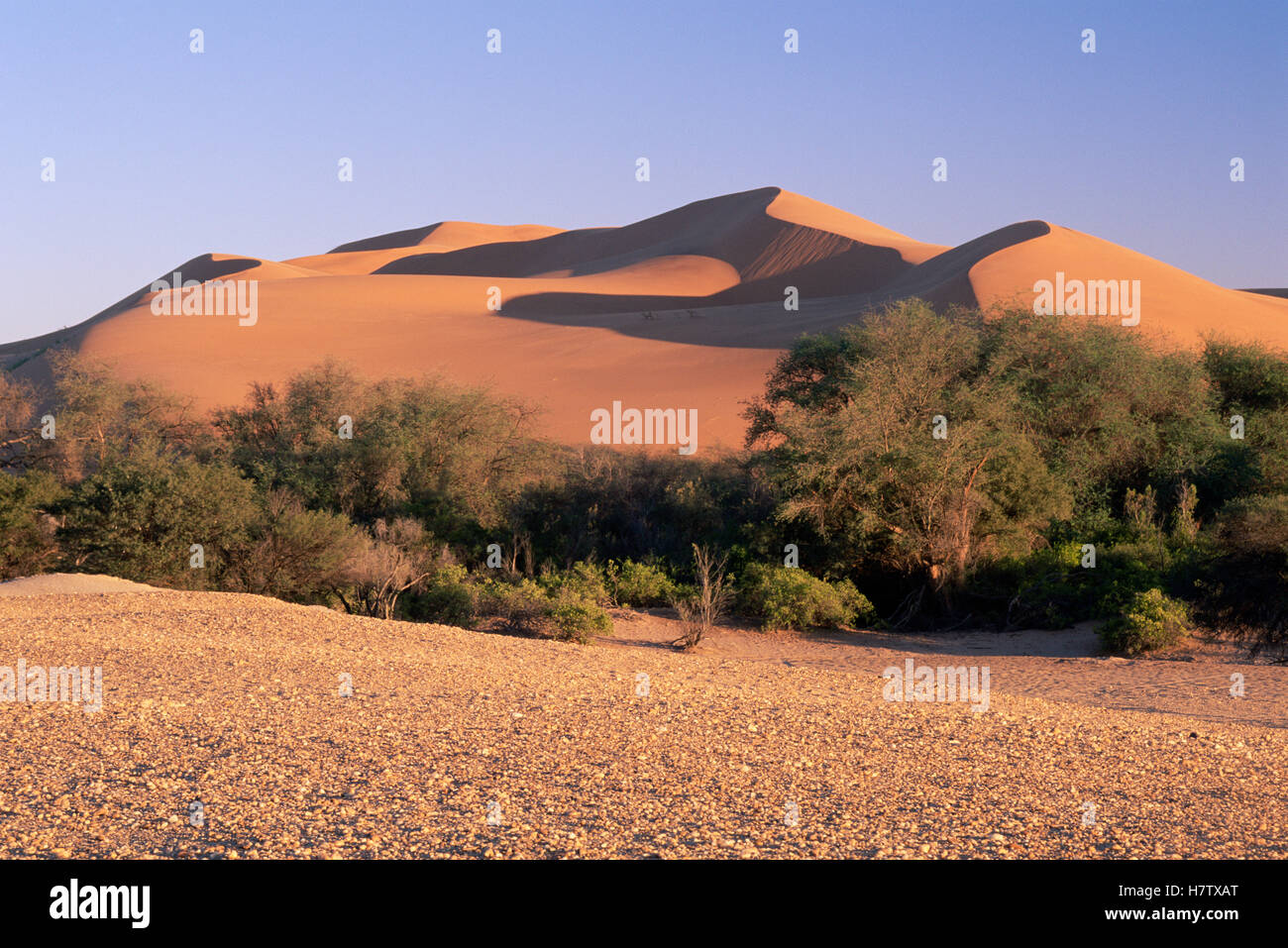 Kuiseb River dividing dunes from gravel plains of Namib Desert, Namib ...