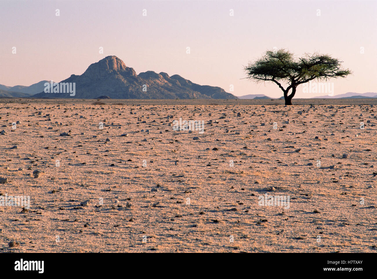 Gravel plains before spring rains, Namib Desert, Namibia. Sequence 1 of ...