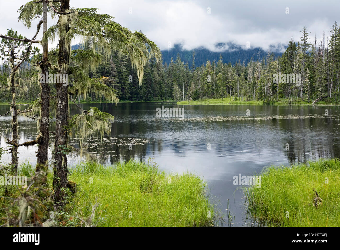 Crane Lake, Tongass National Forest, Mitkof Island, southeast Alaska ...