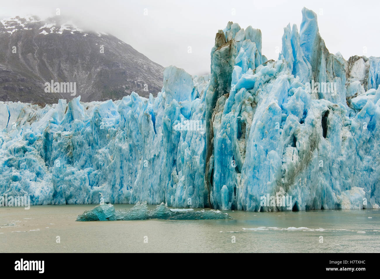 Dawes Glacier, Endicott Arm, Inside Passage, southeast Alaska Stock ...