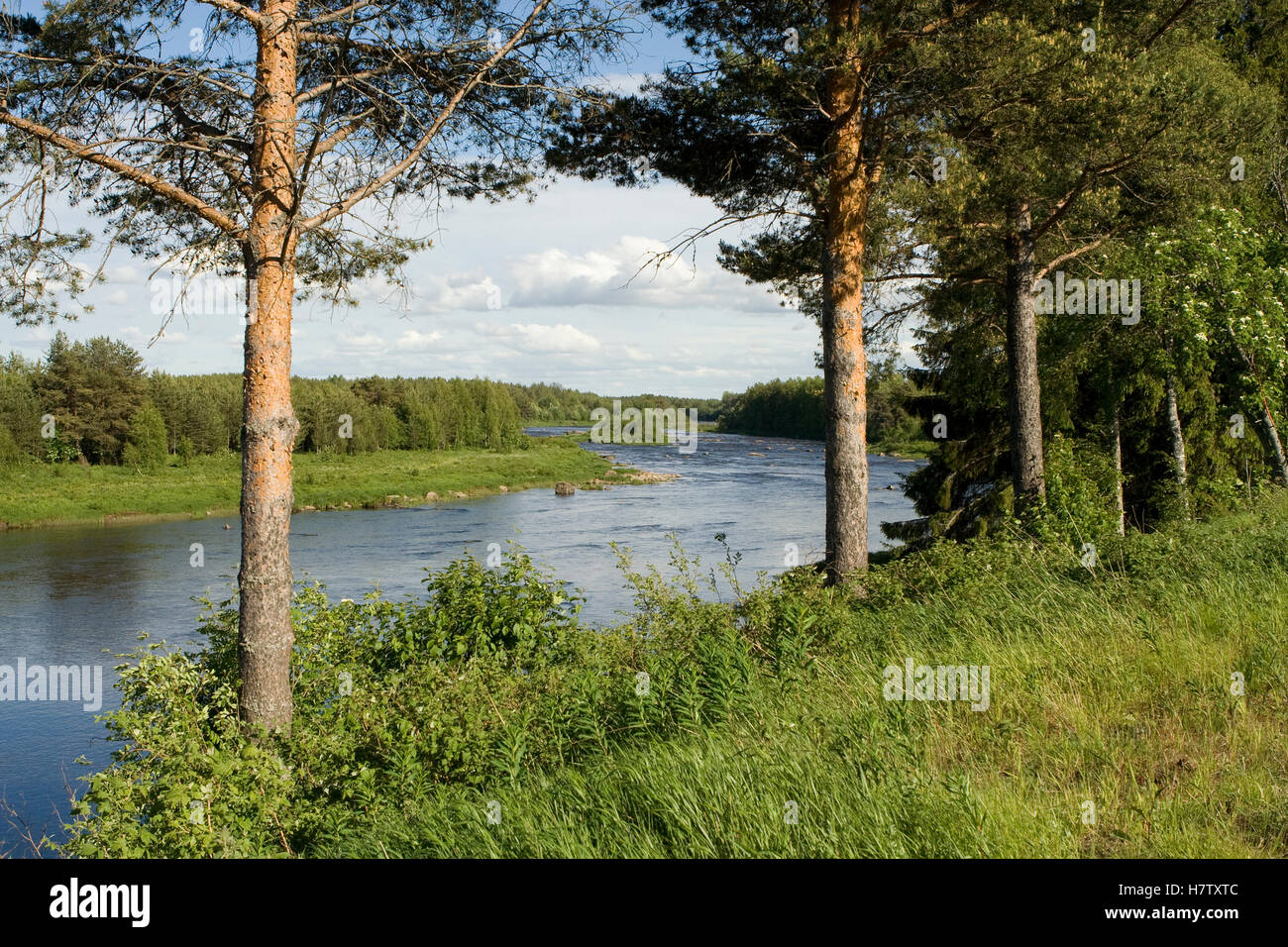 Meandering river, Finland Stock Photo - Alamy
