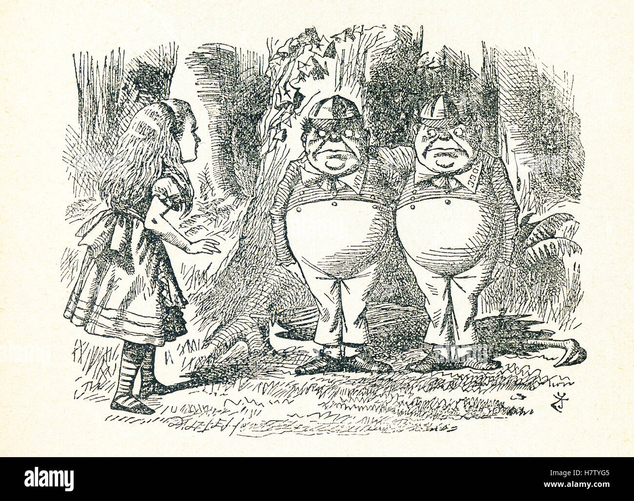 This is a scene from what Alice saw once she went through the Looking ...