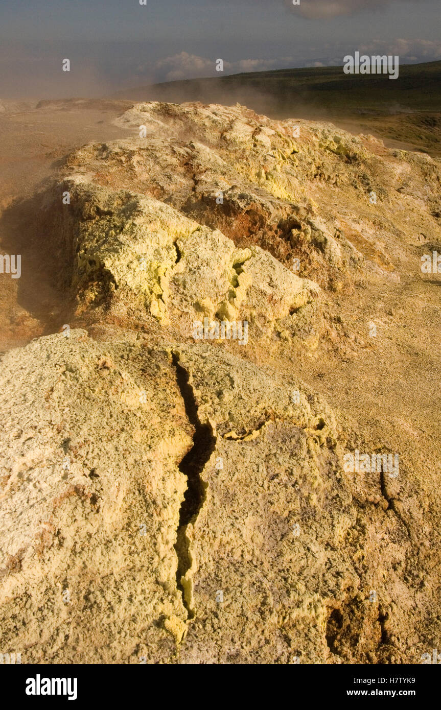Steaming sulphur fumaroles in Alcedo Volcano, Isabella Island ...