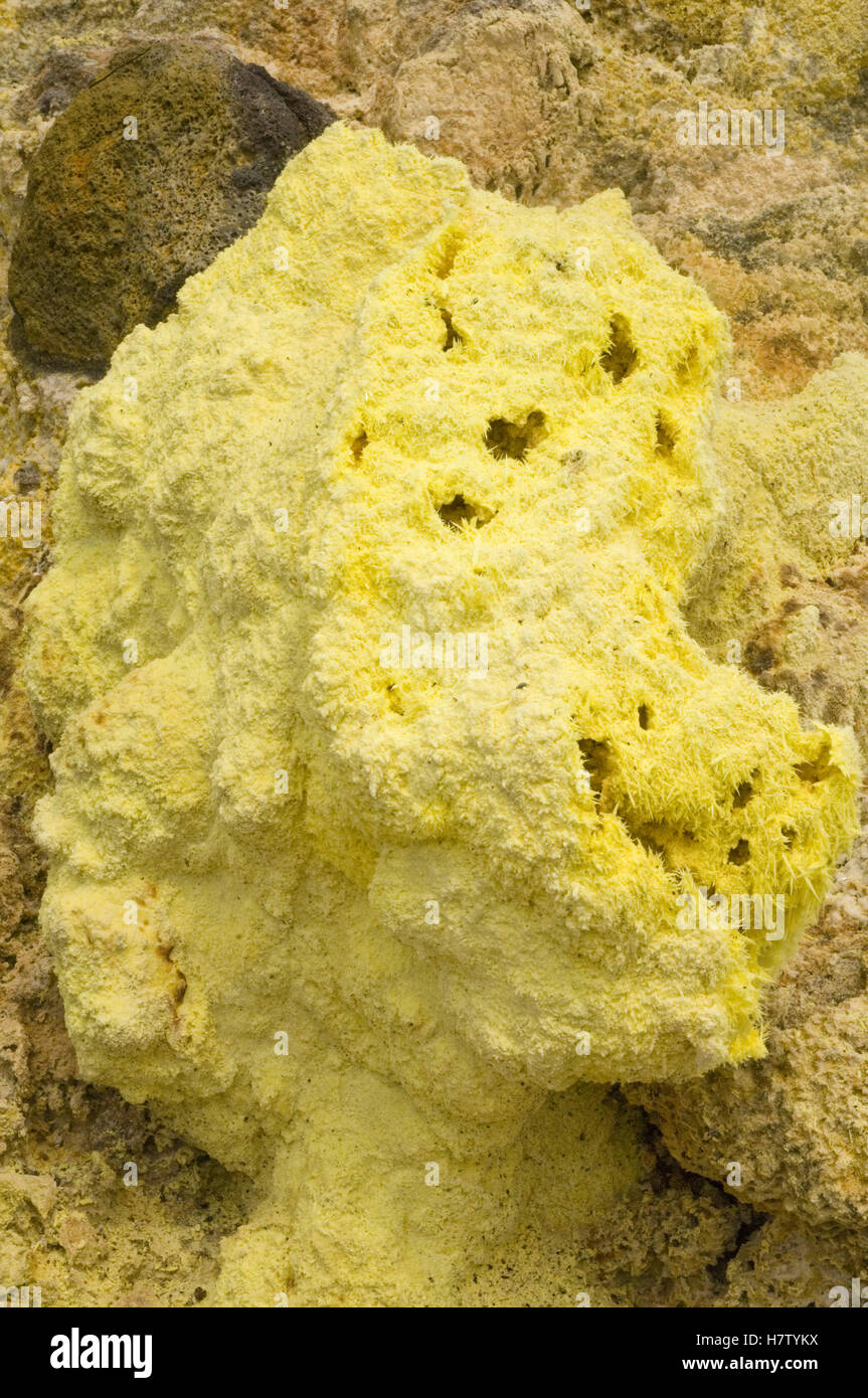 Sulphur fumaroles in Alcedo Volcano, Isabella Island, Galapagos Islands ...