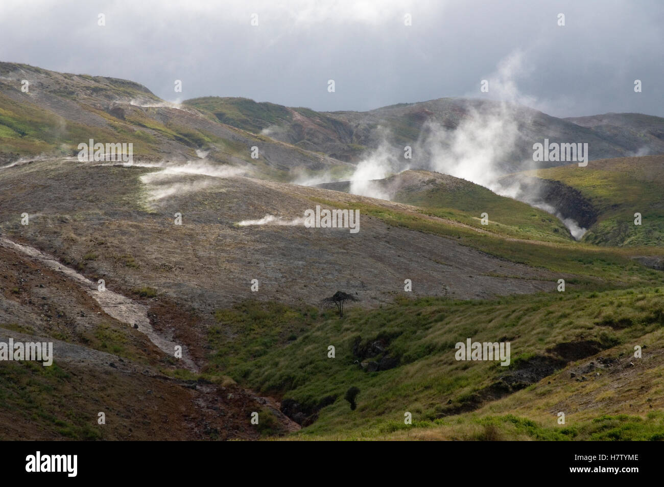 Steam vents, Alcedo Volcano, Isabella Island, Galapagos Islands ...
