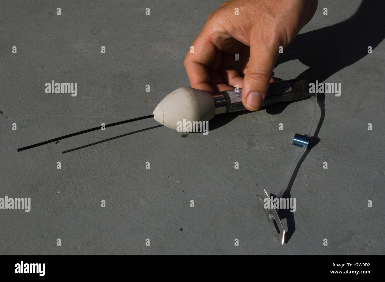 Satellite tag for tagging sharks, Wolf Island, Galapagos Islands ...