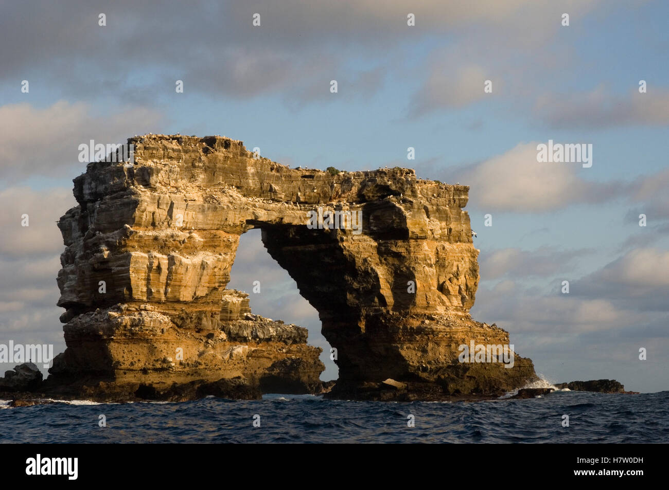 Eroded volcanic tufa arch known as Darwin Arch, Darwin Island ...