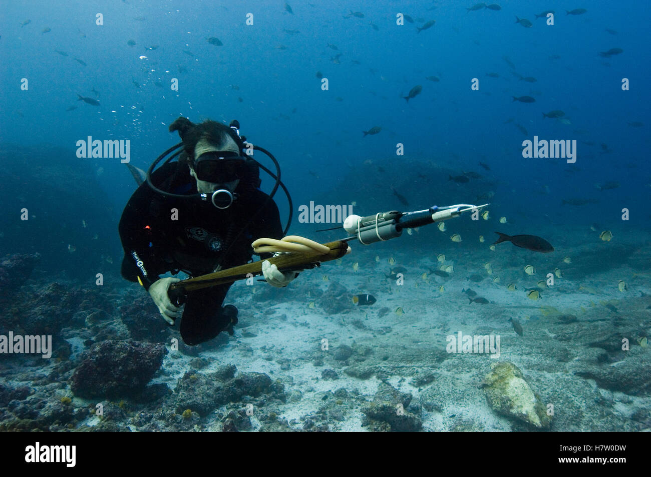 Researcher James Ketchum with satellite tag for tagging shark, Wolf ...
