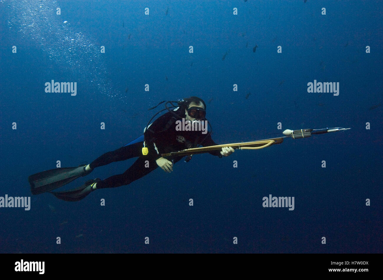 Researcher James Ketchum with satellite tag for tagging shark, Wolf ... Researcher James Ketchum with satellite tag for tagging shark, Wolf ...