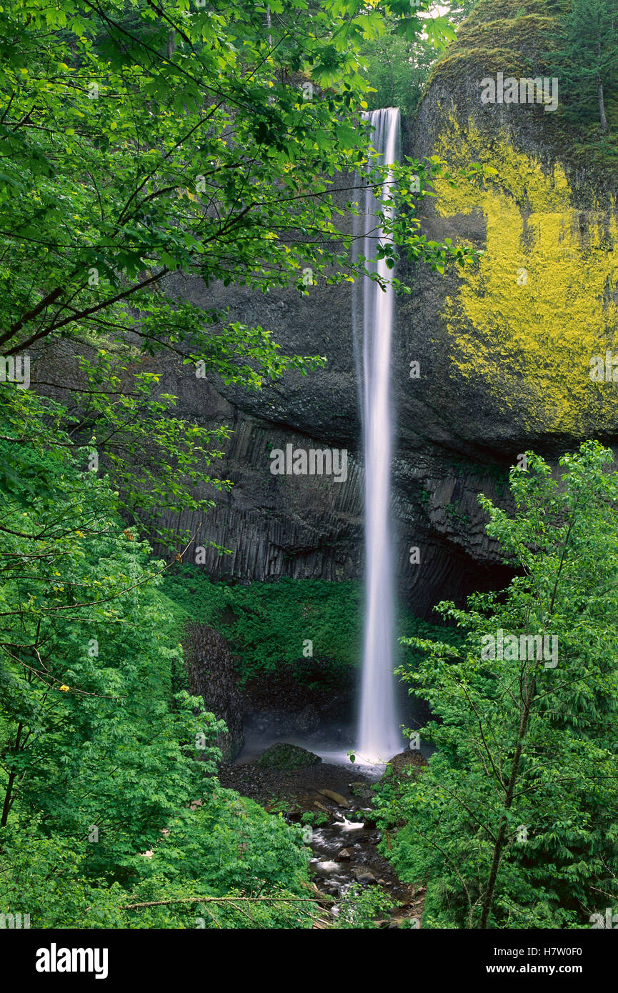 Latourell Falls flowing over basalt cliff, Guy Talbot State Park ...
