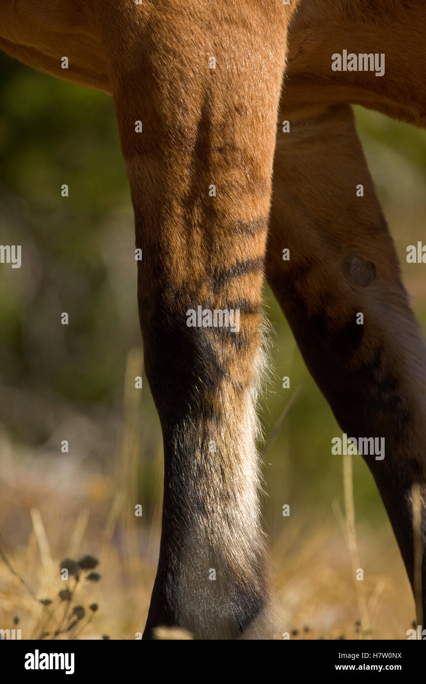 Striped markings hi-res stock photography and images - Alamy