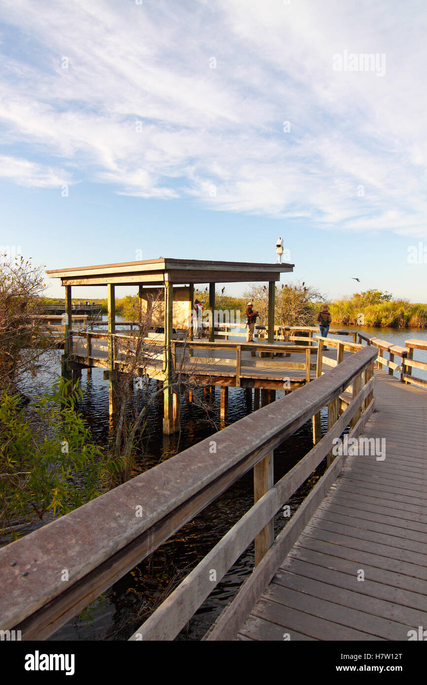 Tourists on boardwalk and viewing platform, Everglades National Park ...