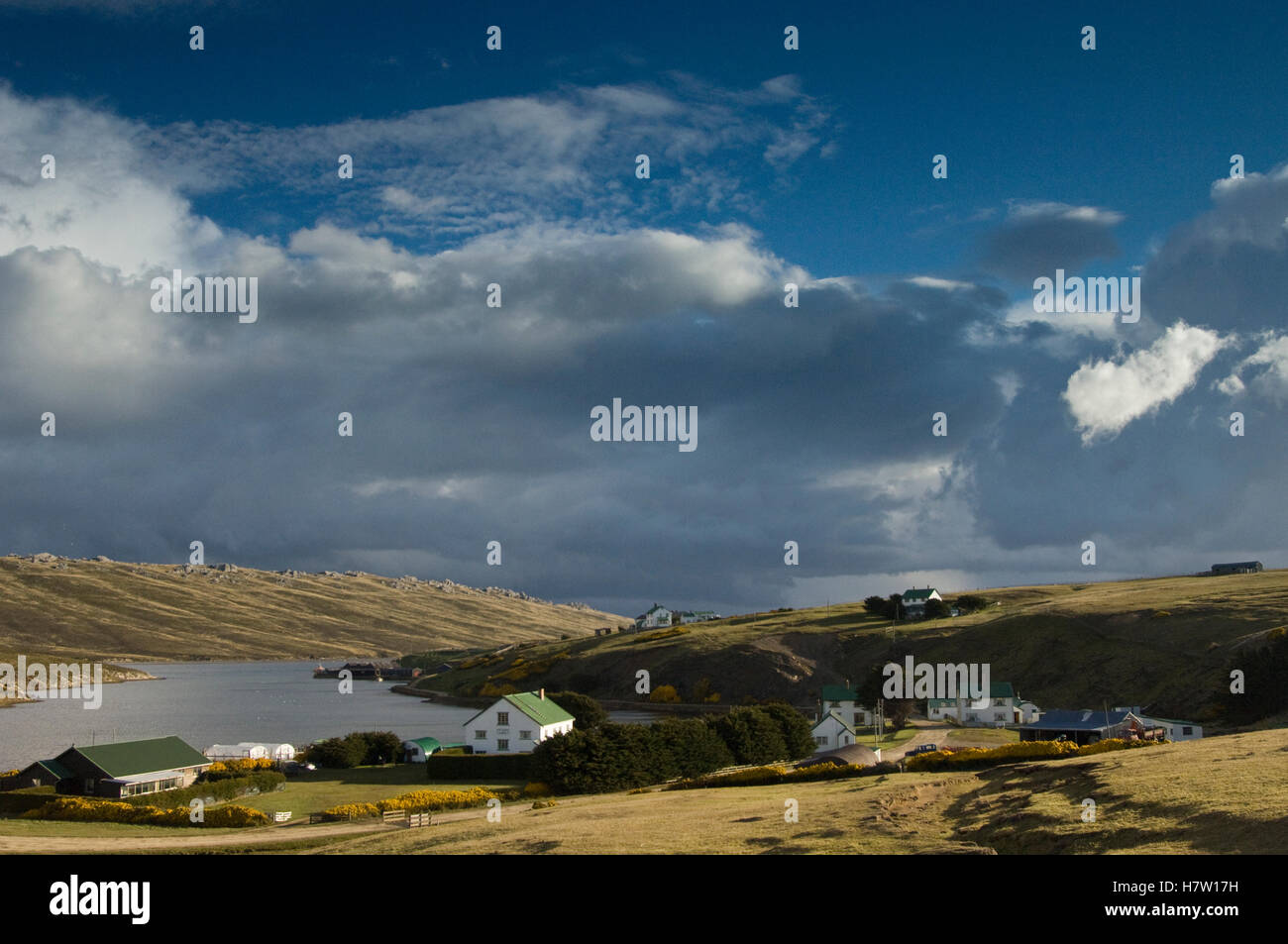 Port Howard settlement, West Falkland, Falkland Islands Stock Photo - Alamy