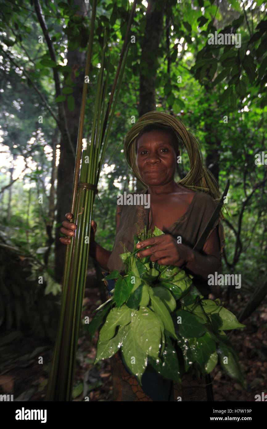 Ngongo (Megaphrynium macrostachyum) stems and leaves used by Baka woman ...