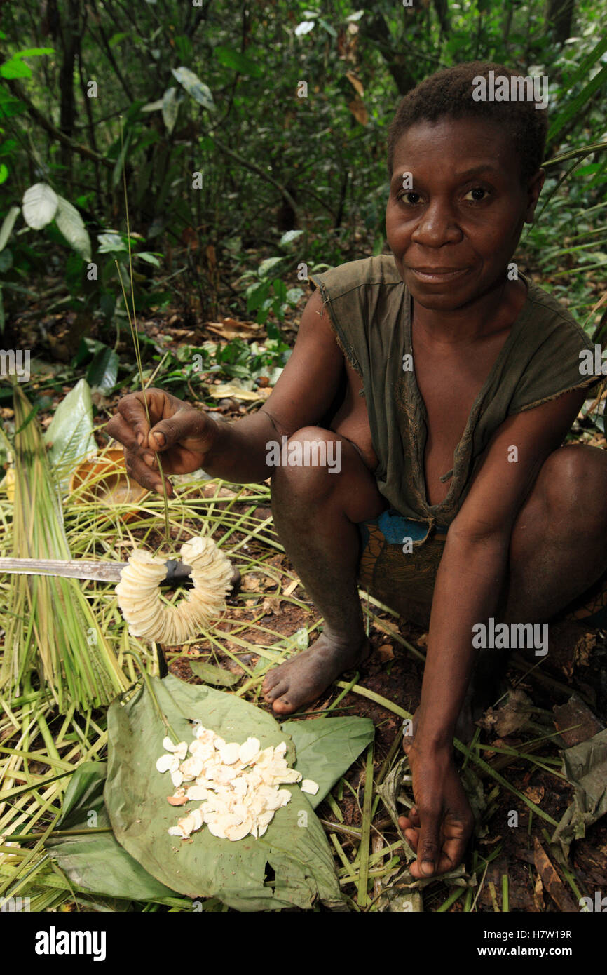 Dried nuts collected by Baka woman, Cameroon Stock Photo - Alamy
