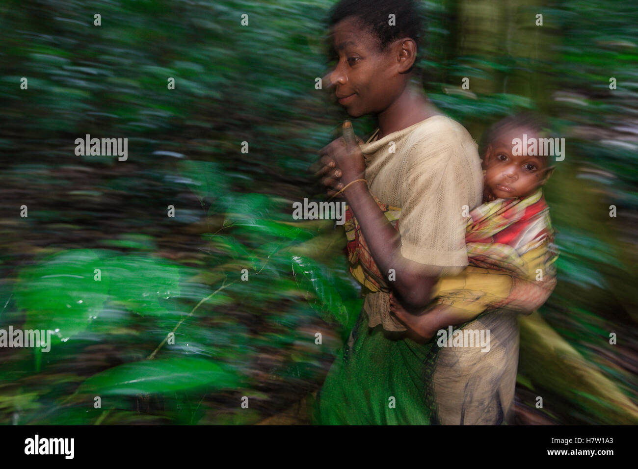 Baka woman gathering fruit and nuts with her baby, Cameroon Stock Photo ...