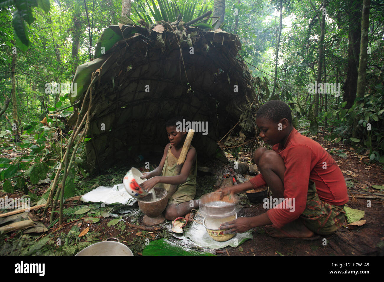Baka boys in forest hunting camp at Mongolu shelter, Cameroon Stock ...