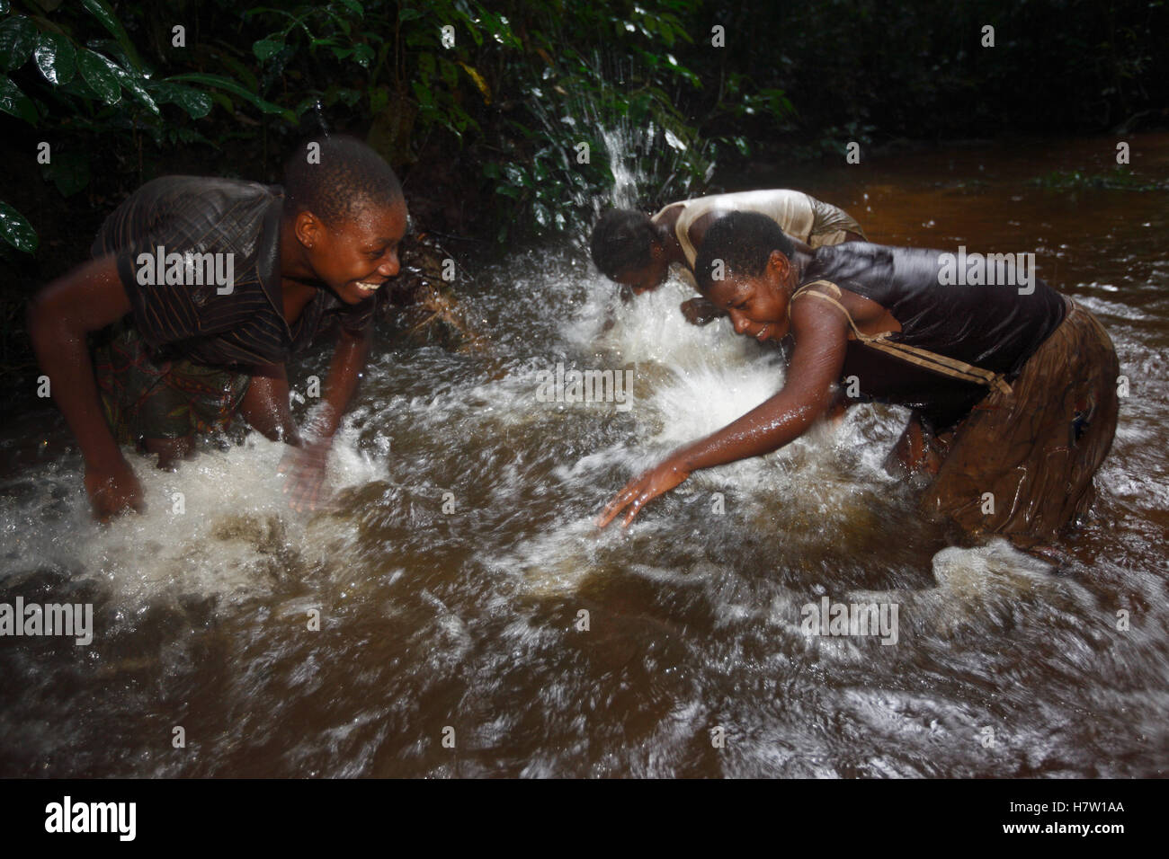 Baka woman performing a dance by splashing the water after returning ...