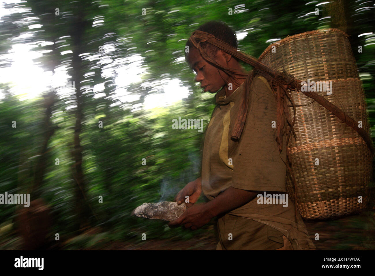 Baka woman carrying baby in large basket while traveling through the ...
