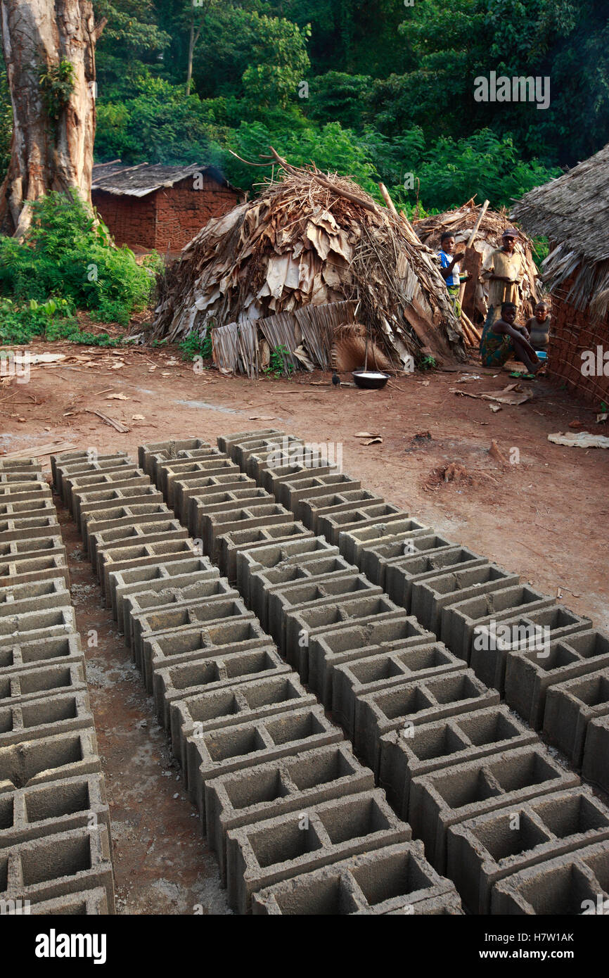 Bricks in a Bantou village will be used by Baka workers to build a ...