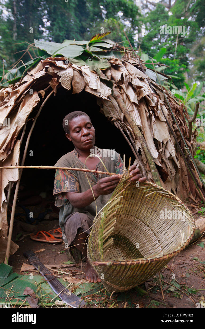 Ngongo (Megaphrynium macrostachyum) fibers used by Baka woman to make a ...