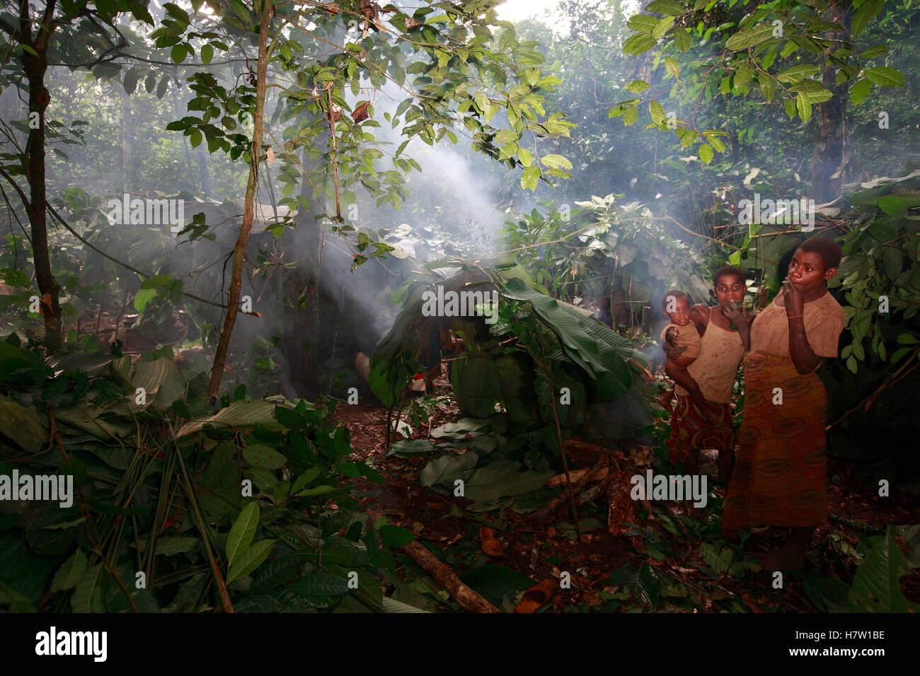 Baka tribe hunting camp of Mongolu's, with tribe members, Cameroon ...