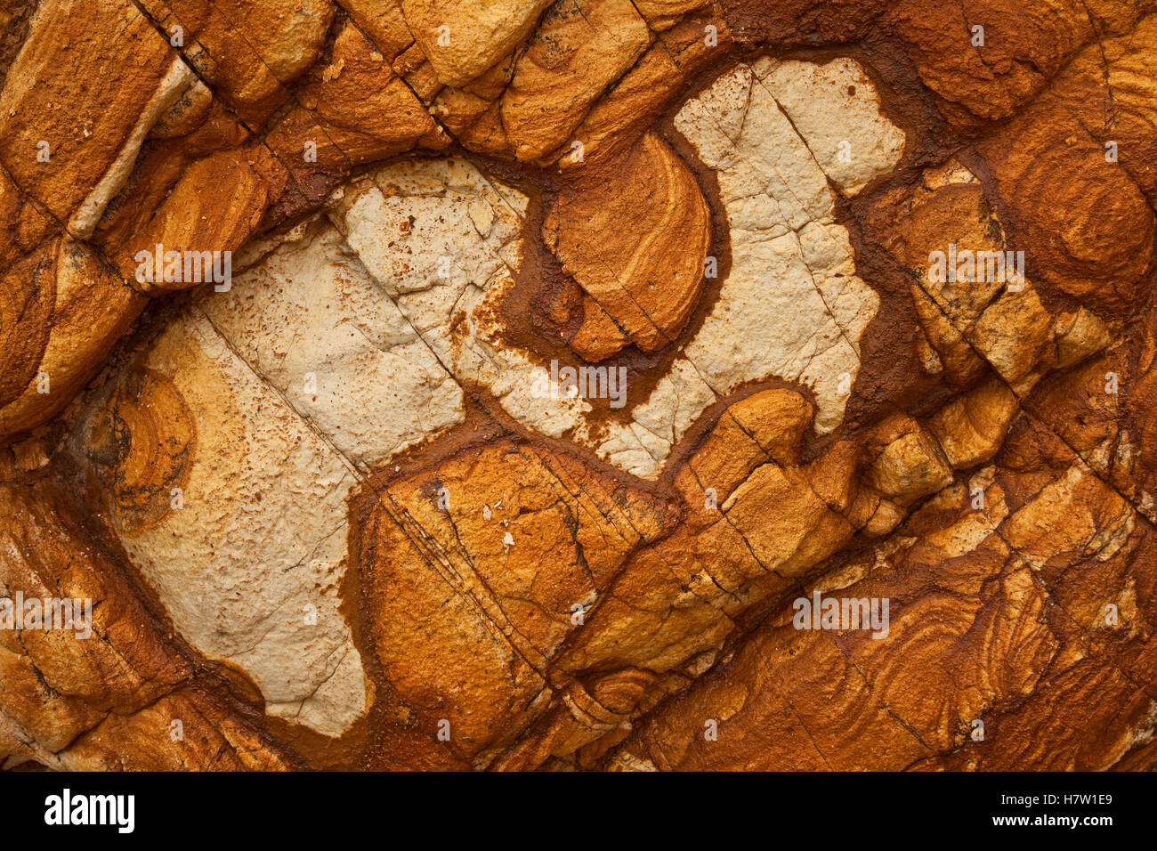 Volcanic rock, Onawe, Banks Peninsula, Canterbury, New Zealand Stock ...