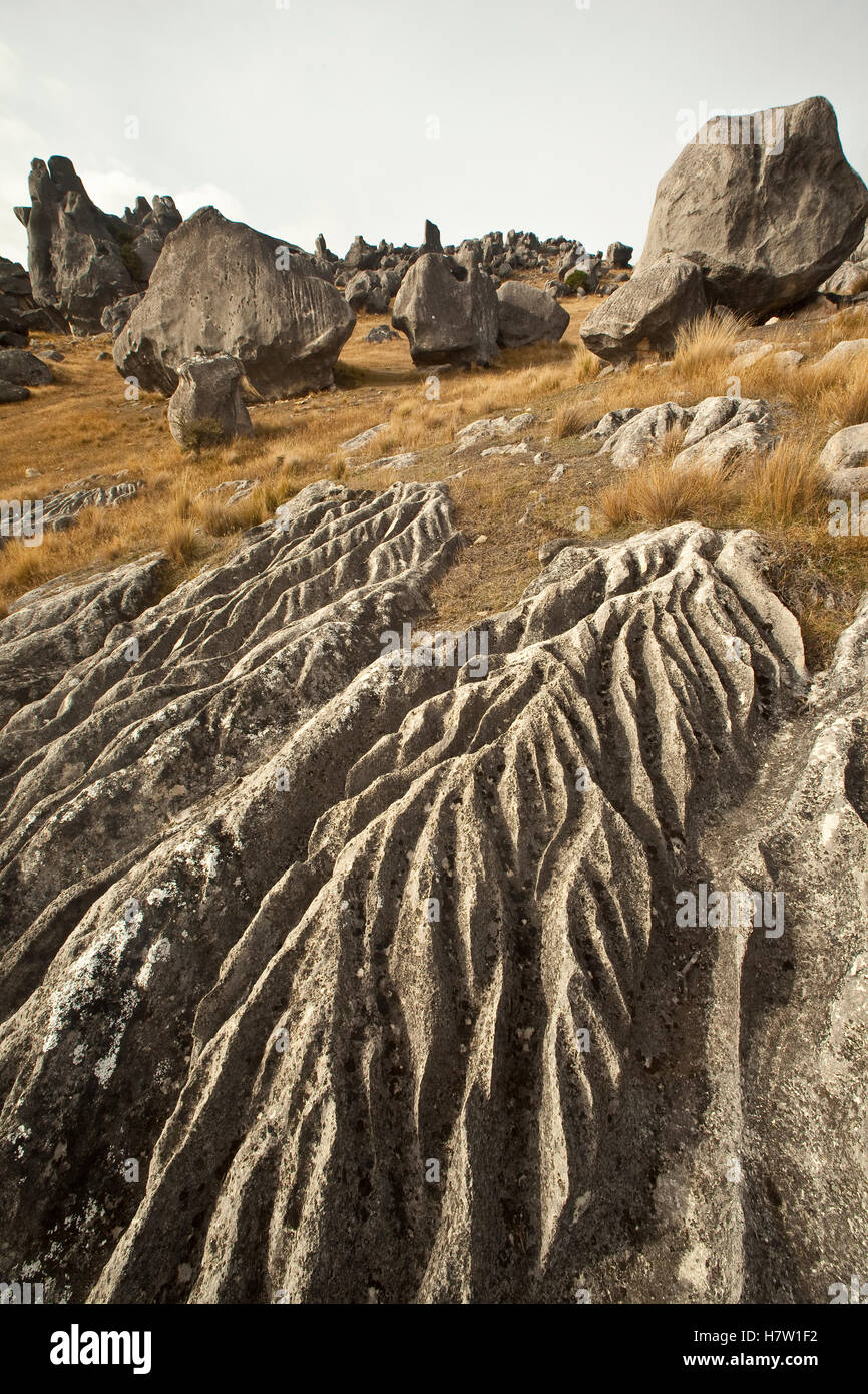 Limestone formation eroded by water, Flock Hill, Canterbury, New ...