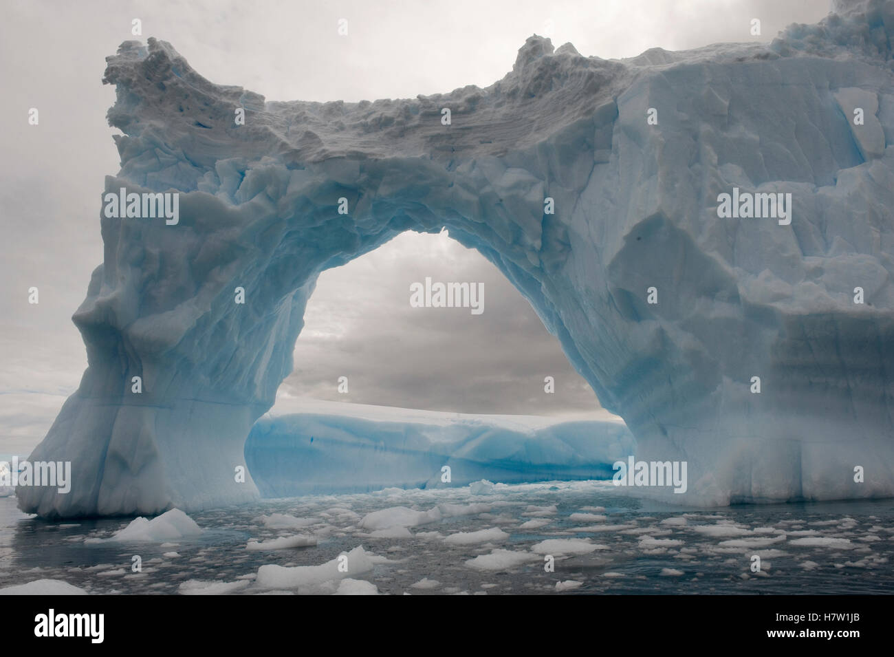 Iceberg with a natural arch, Antarctic Peninsula, Antarctica Stock ...