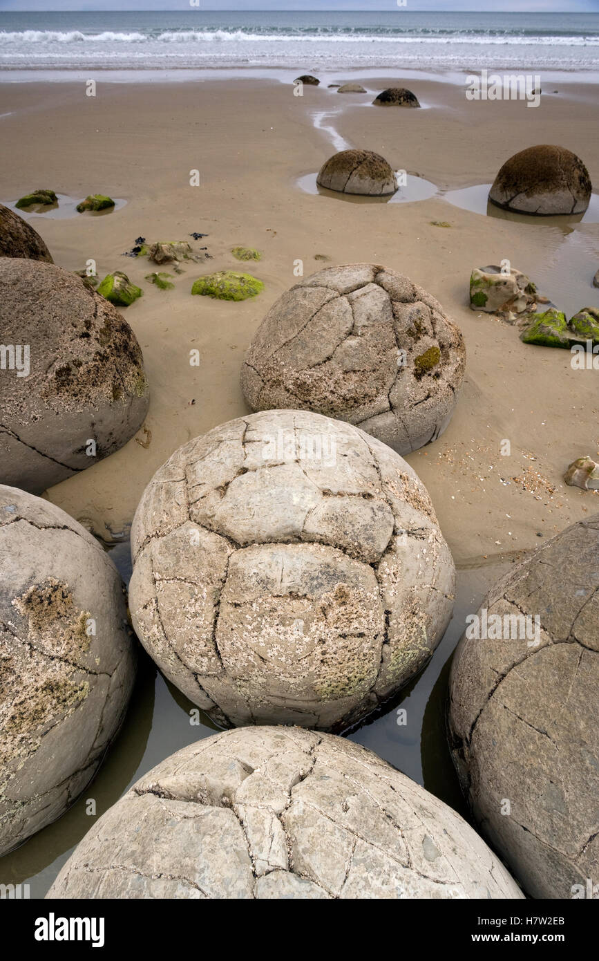 Round boulders on the beach, Moeraki Beach, South Island, New Zealand ...