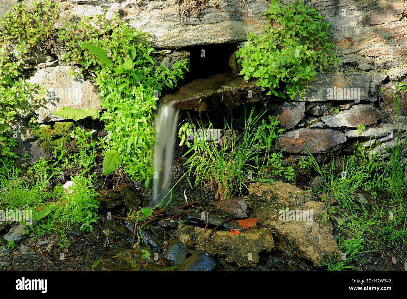 Small stone waterfall surrounded by plants Stock Photo - Alamy