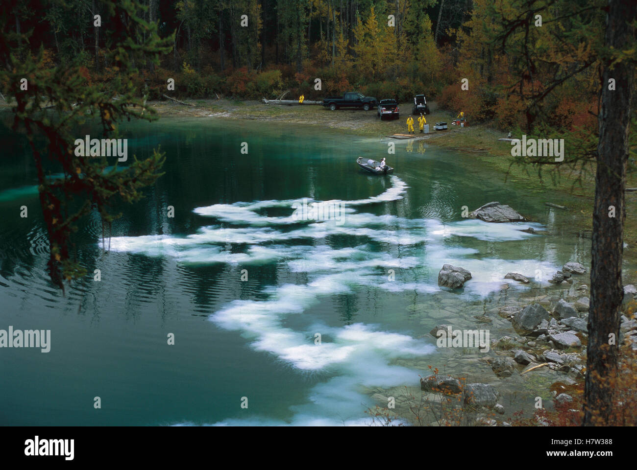 Fish pesticide released in Blue Lake to remove unwanted fish while ...