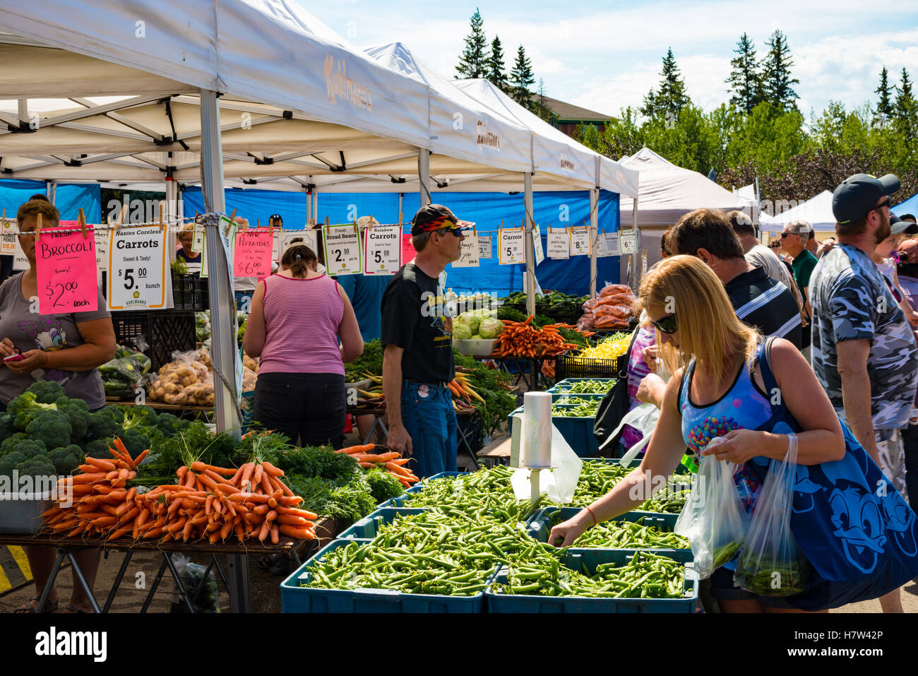 Shopping for produce at a farmer's market in St Albert Alberta Stock ...