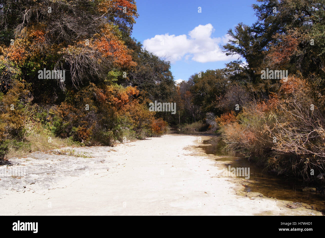 A beautiful display of fall foliage Stock Photo - Alamy