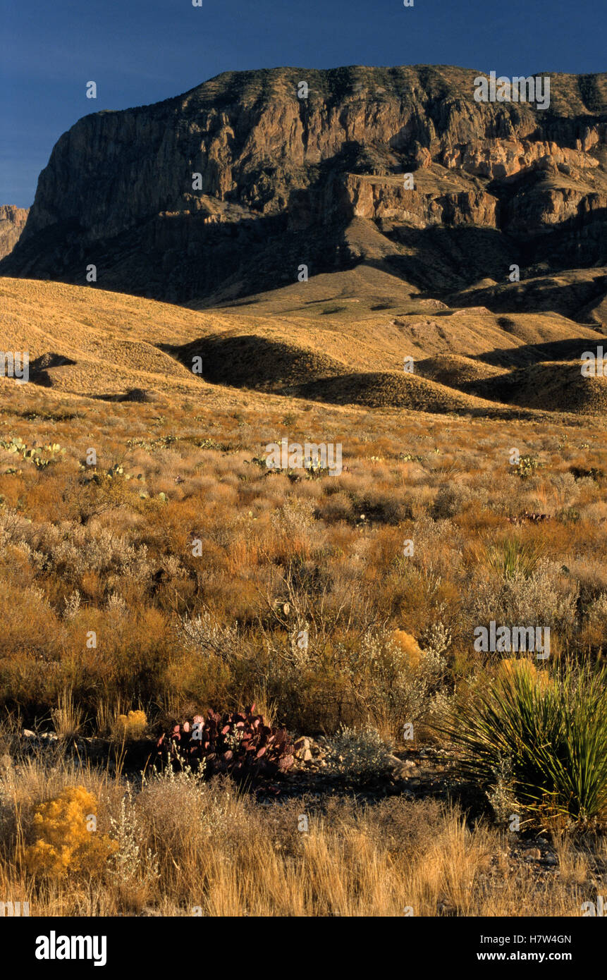 Grassland and buttes, Big Bend National Park, Texas Stock Photo - Alamy