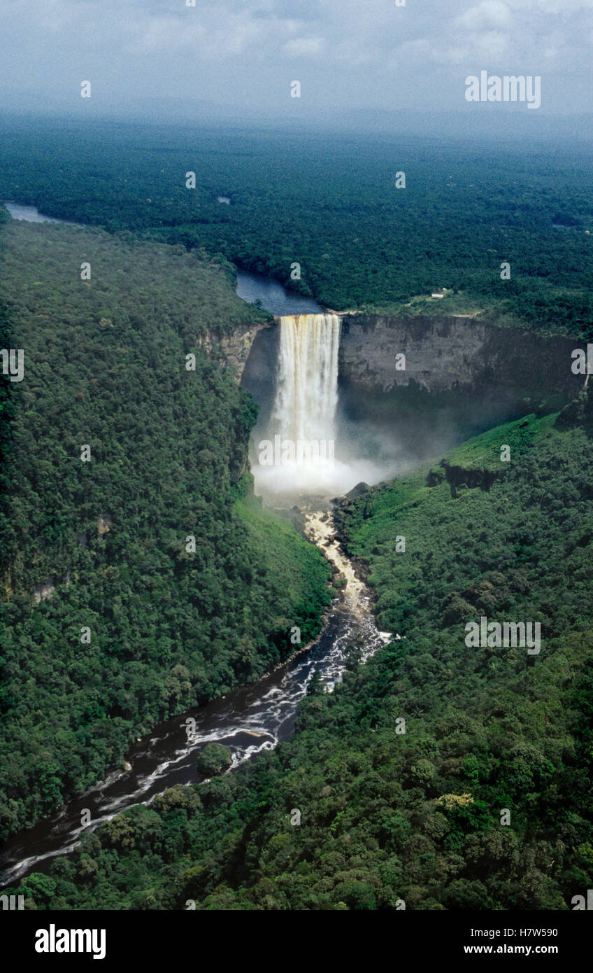 Kaieteur Waterfall on the Potaro River, highest waterfall, Guyana Stock ...