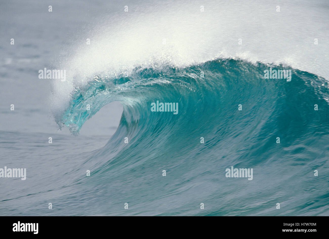 Breaking wave, North Shore, Big Island, Hawaii, sequence 2 of 3 Stock ...